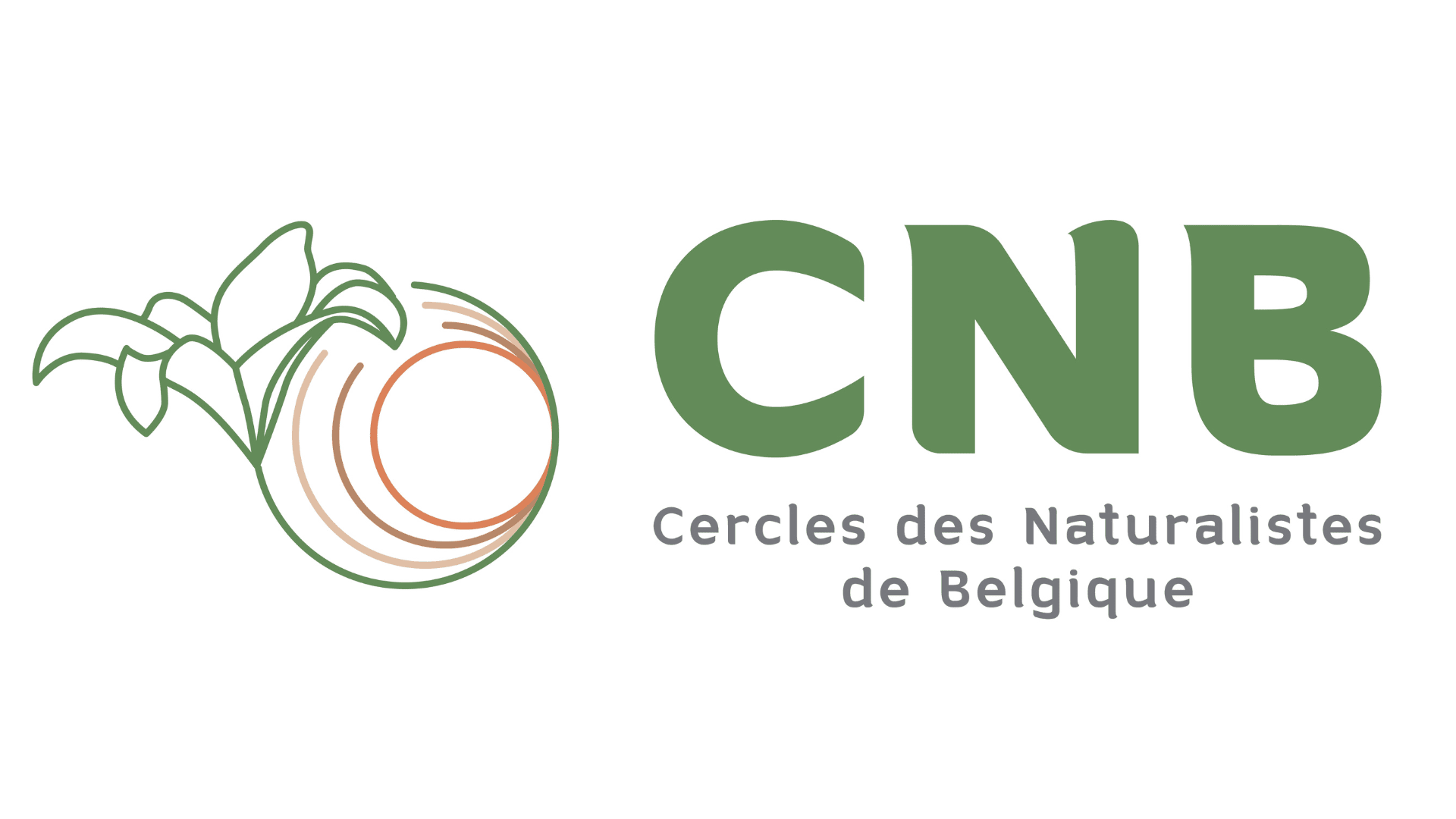 Un nouveau visuel pour notre association - CNB