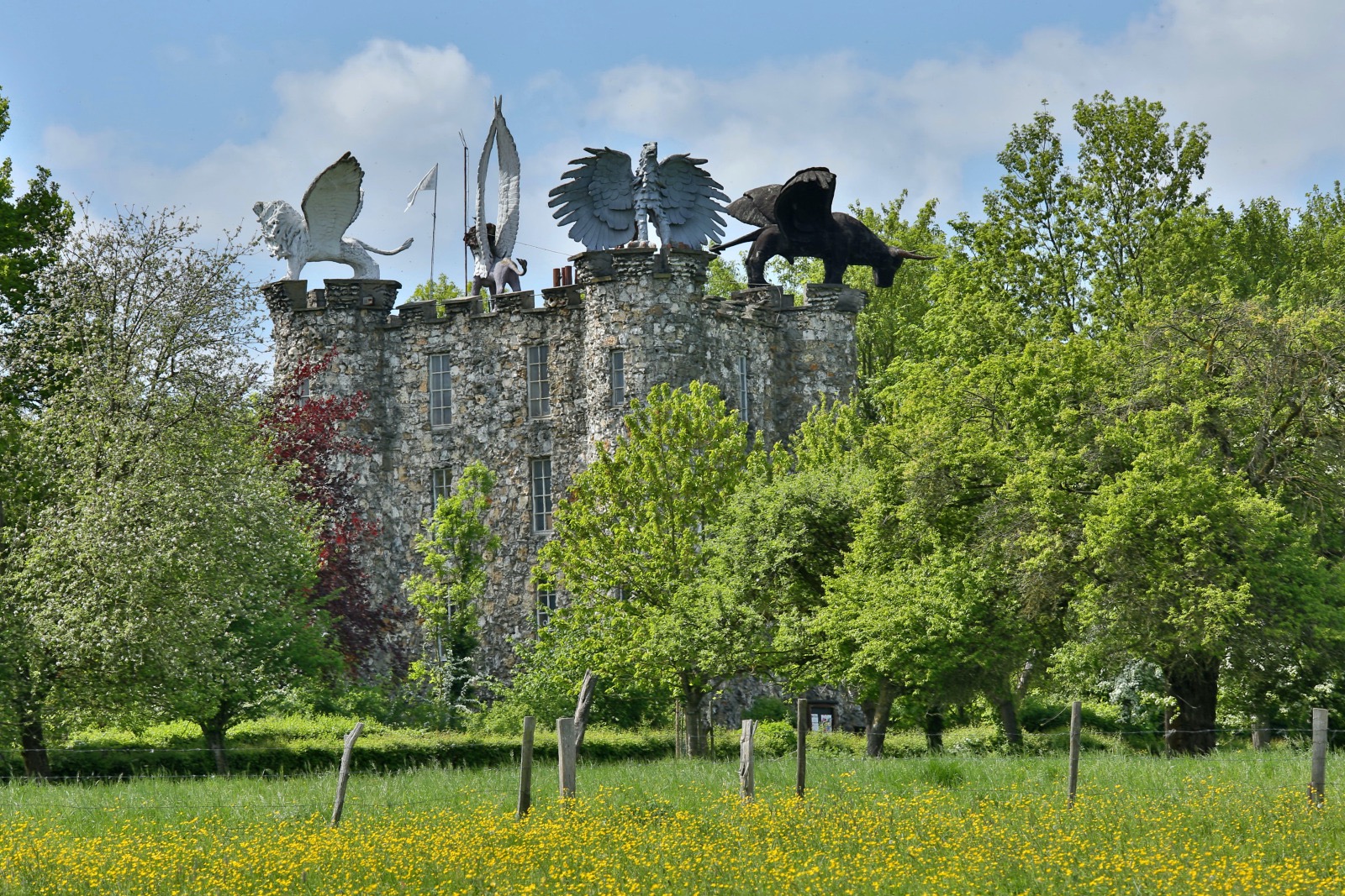 Botanique et Ornithologie : « Un œil à terre, un œil en l’air », à ...