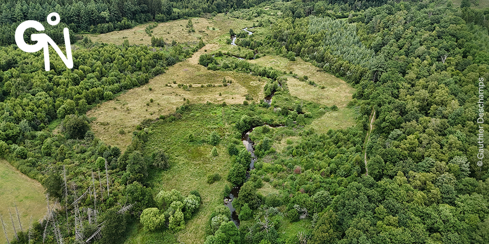 Au cœur de la réserve naturelle de la Houille